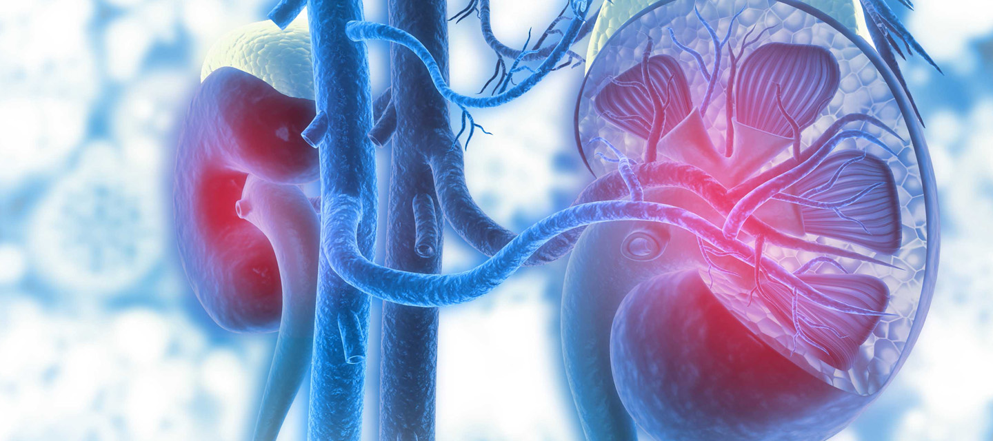 Kidney Transplant Program